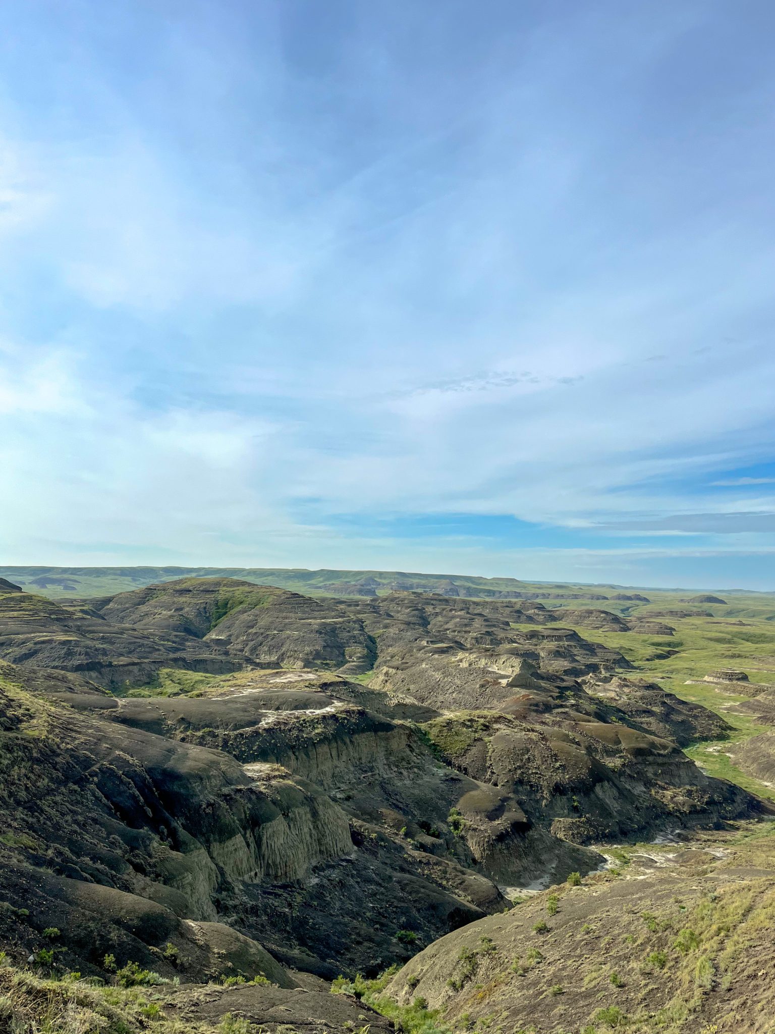 Everything you need to know about Grasslands National Park – East Block ...