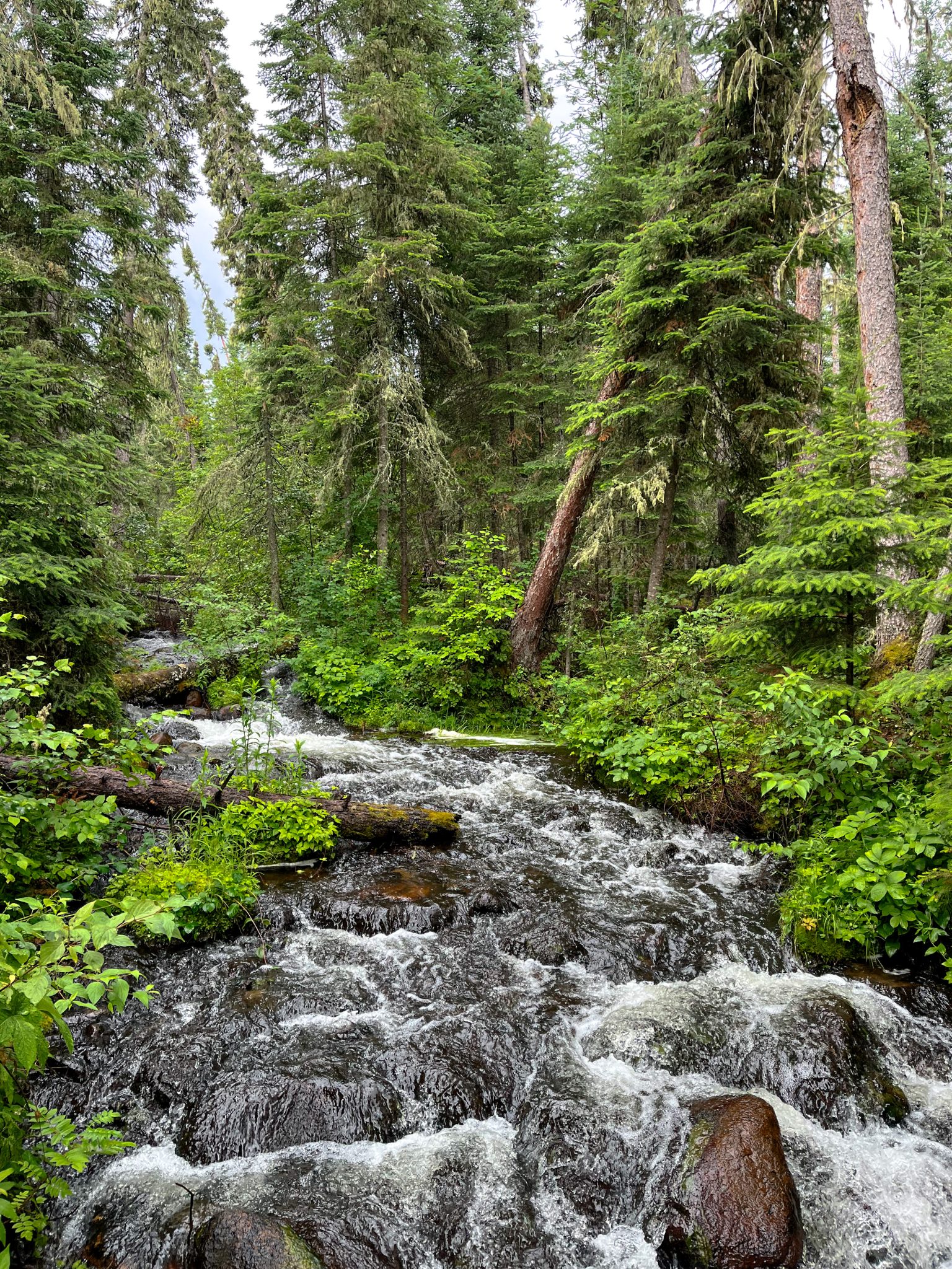 14 Places to Visit in Northern Manitoba – Nadine Adventures
